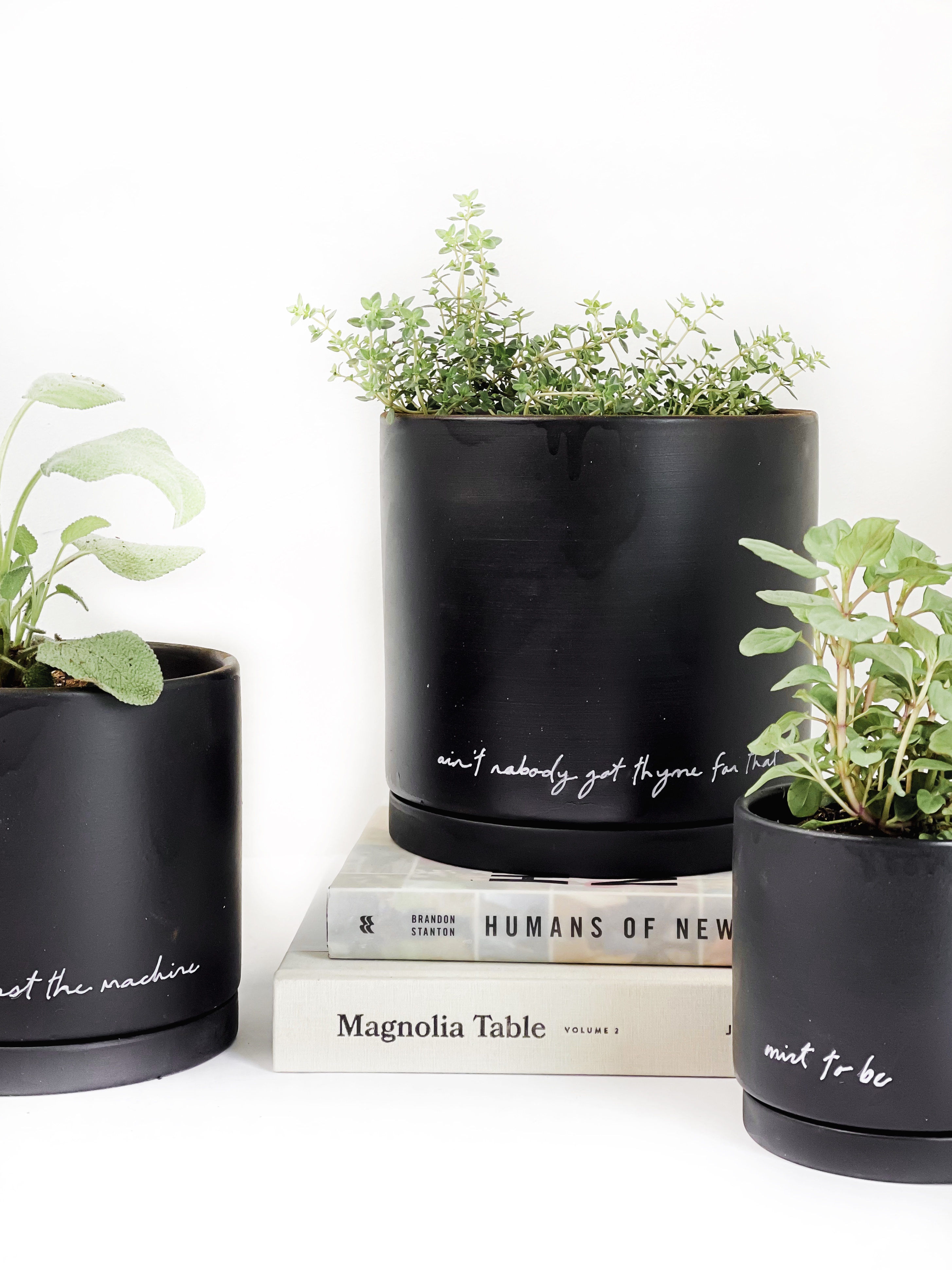How to create DIY Modern Herb Pun Pots - Dwell & Dine