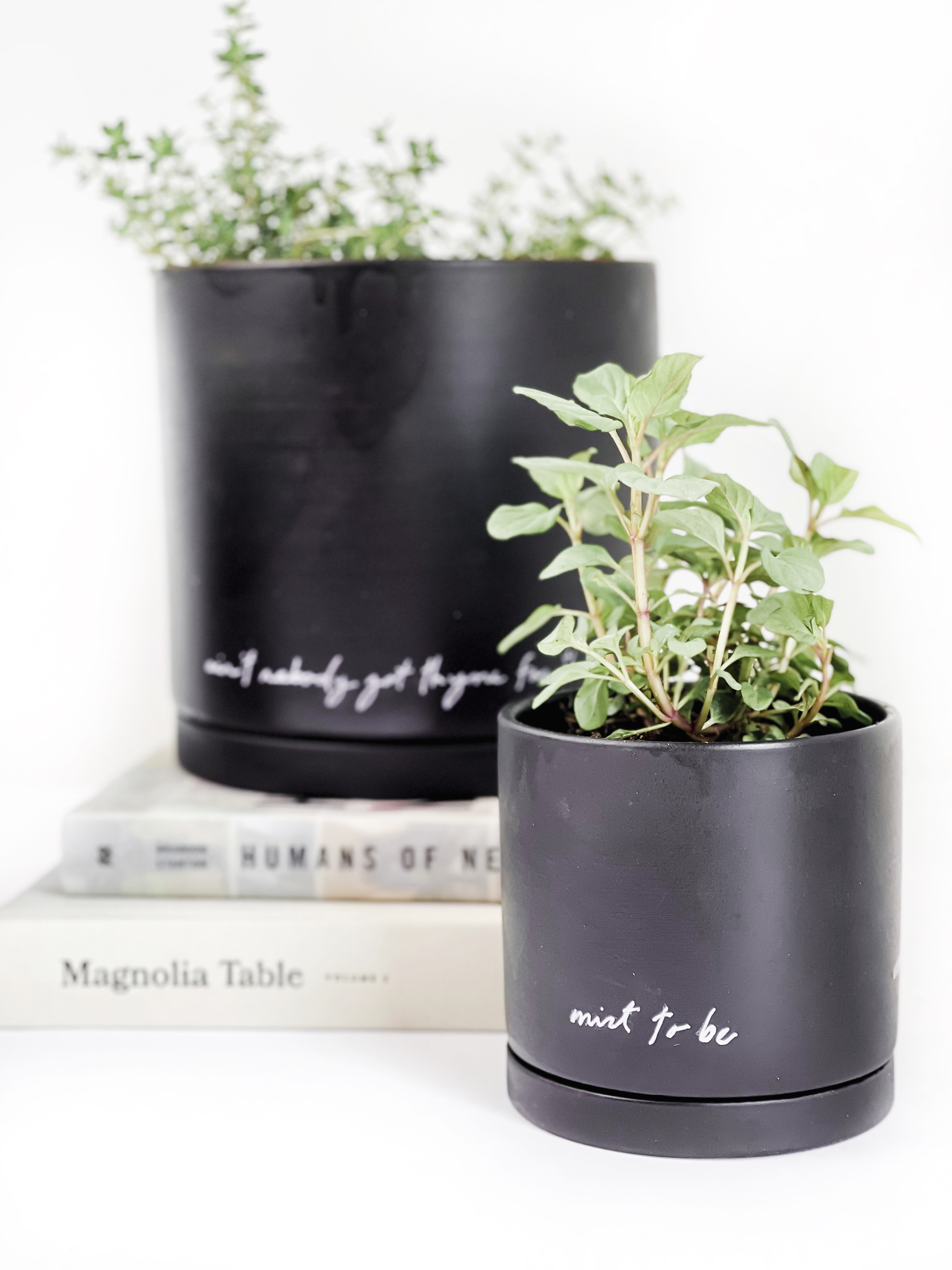 How to create DIY Modern Herb Pun Pots - Dwell & Dine