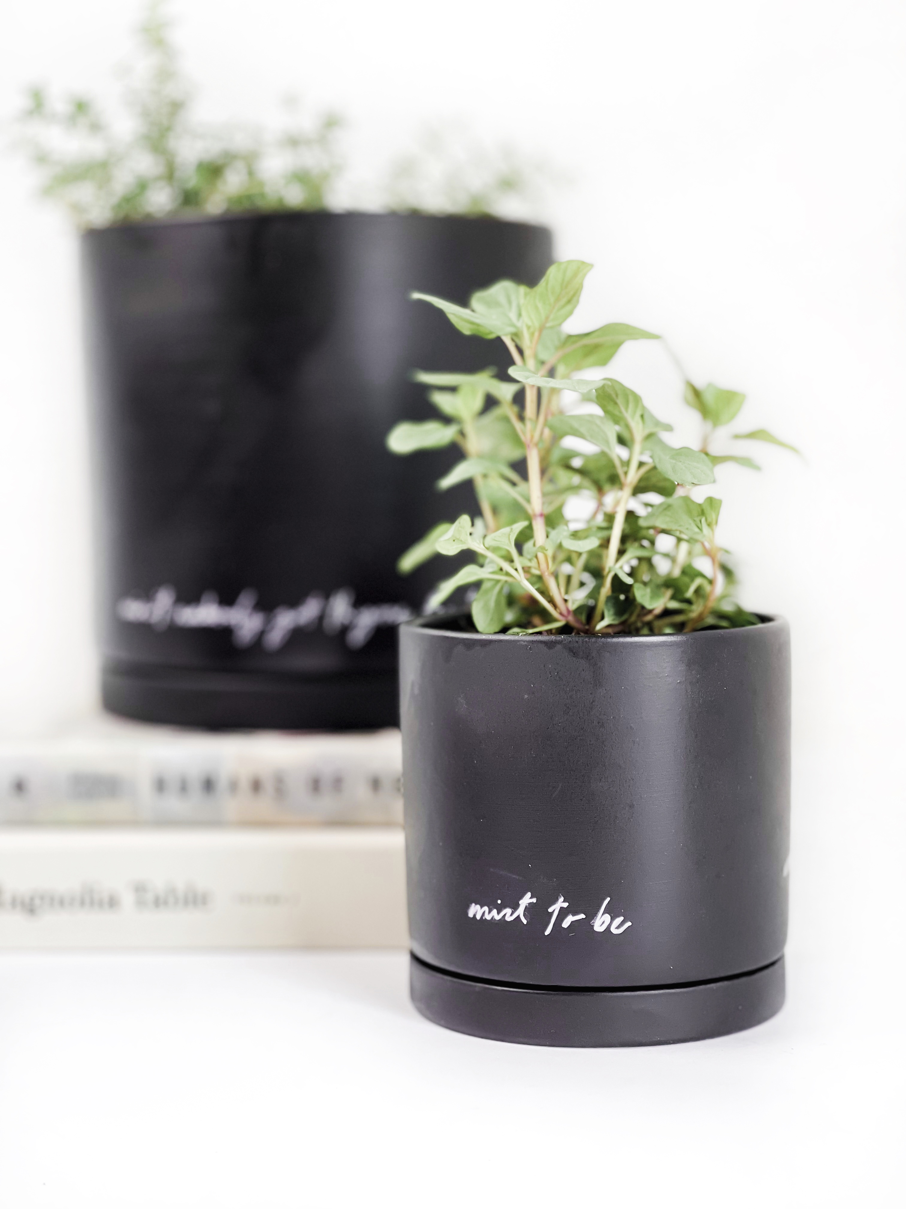 How to create DIY Modern Herb Pun Pots - Dwell & Dine