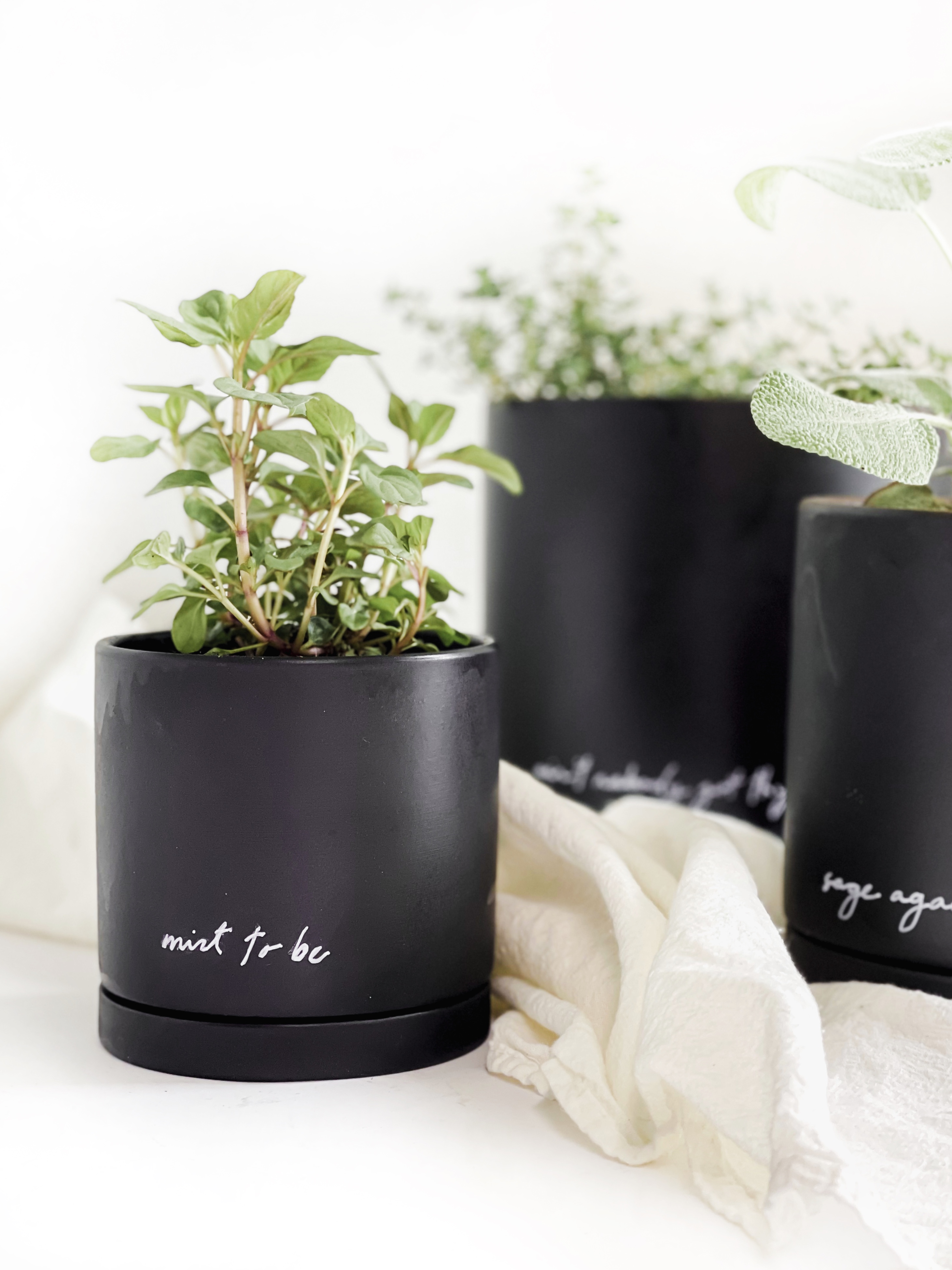 How to create DIY Modern Herb Pun Pots - Dwell & Dine