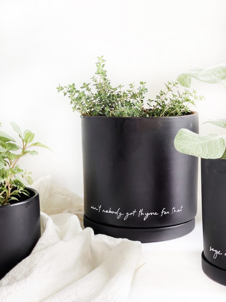 How to create DIY Modern Herb Pun Pots - Dwell & Dine